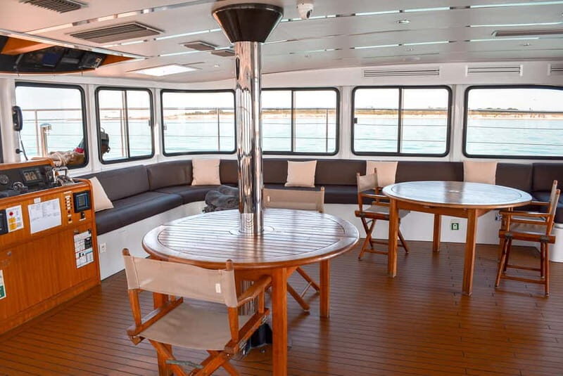 La Rochelle : Catamaran Tour - Why Consider the La Rochelle Catamaran Tour?