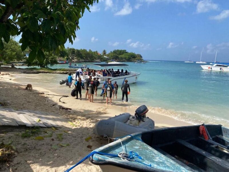 La Romana: 3-Day PADI Open Water Diver Course - Final Thoughts