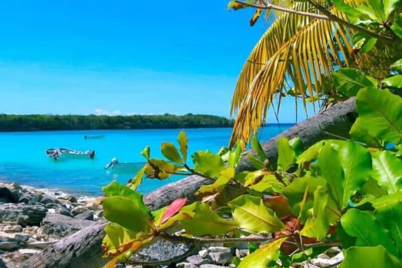 La Romana: Catalina Island Day Trip with Lunch & Drinks - Key Points