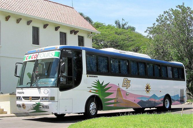 La Romana port transfers (Punta Cana airport to port) - Detailed Review of the Transfer Experience