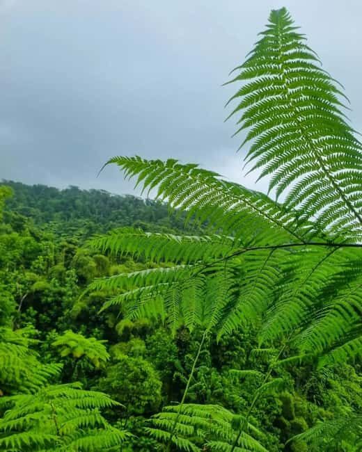 La Soufriere volcano hike in St vincent - The Sum Up