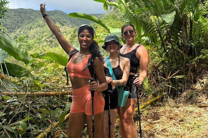 La Soufriere Volcano Hike /Topdawg Tours - Challenges & Considerations