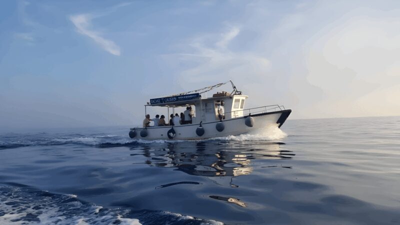 La Spezia, boat tour Portovenere, snorkeling and aperitivo - Who Will Love This Tour?