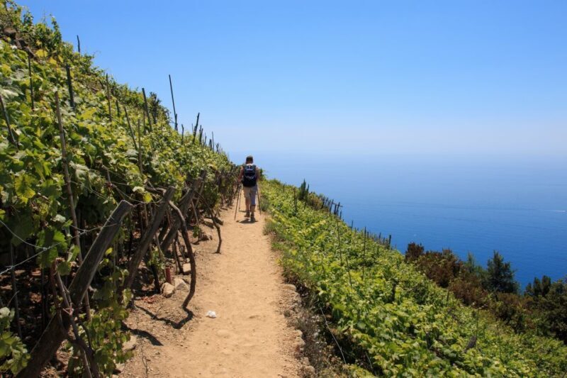 La Spezia: Cinque Terre Guided Hiking Tour - Who Is This Tour Best For?