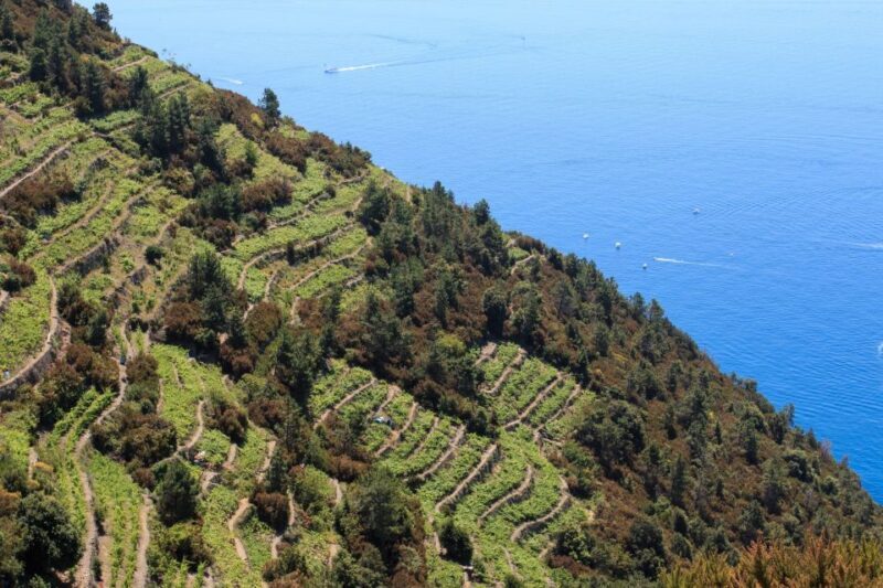 La Spezia: Cinque Terre Guided Hiking Tour - The Sum Up: Authentic, Scenic, and Active