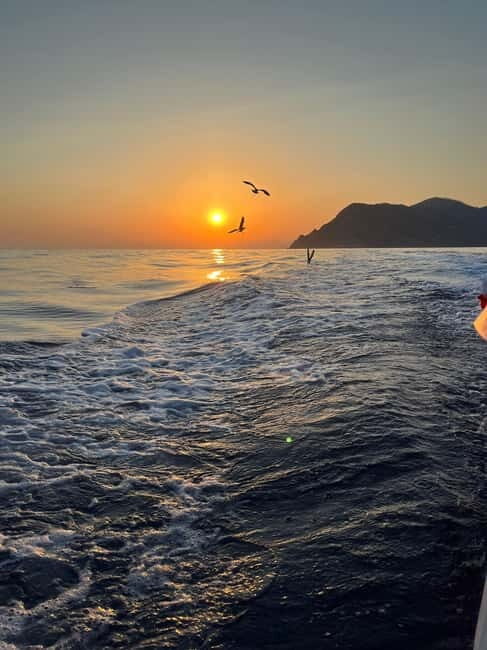 La Spezia : Morning or Sunset Cinque Terre Tour & Aperitif - Final Thoughts