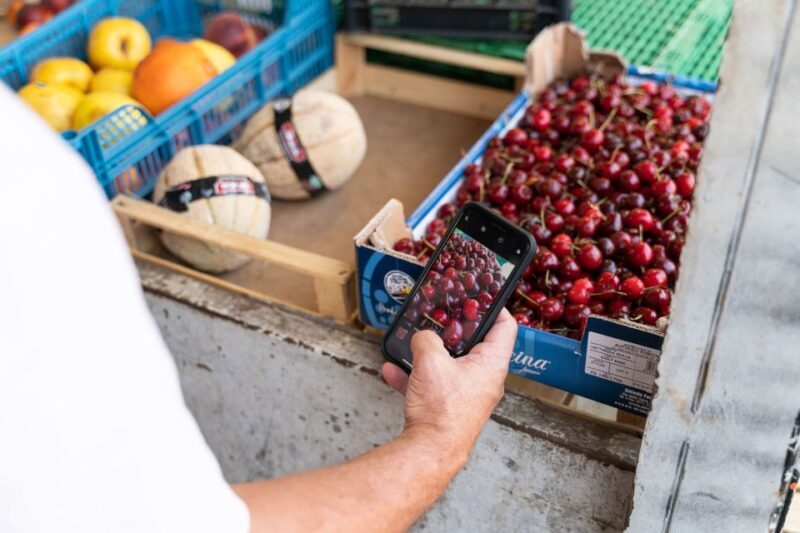 La Spezia: Small-Group Street Food Tour - Who Should Consider This Tour?