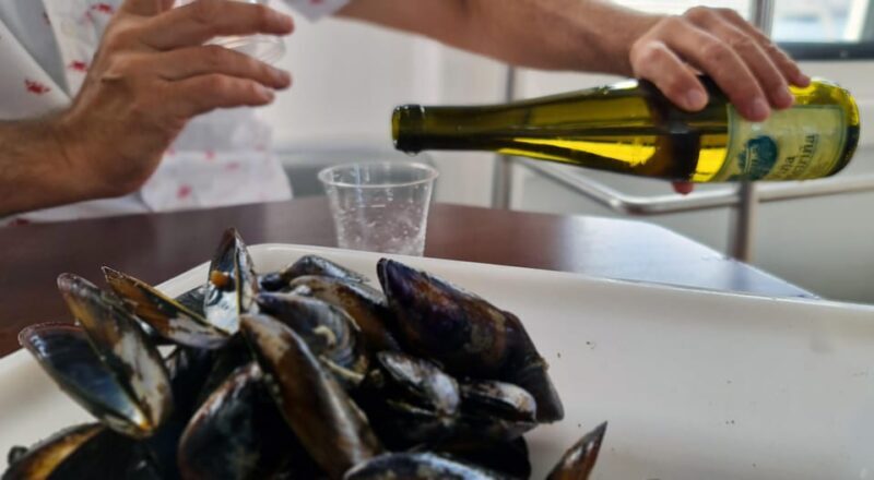 La Toja: Boat Tour at the Arousa estuary with mussel tasting - Analyzing the Value