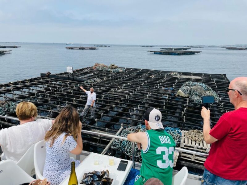 La Toja: Boat Tour at the Arousa estuary with mussel tasting - The Sum Up: A Well-Rounded Coastal Experience