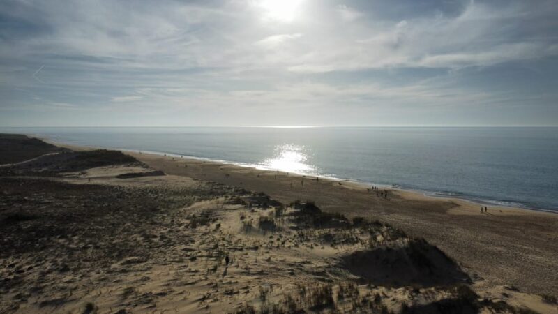 La Tremblade: Hiking in the Forêt Domaniale de la Coubre - Regional Tasting and Social Moments