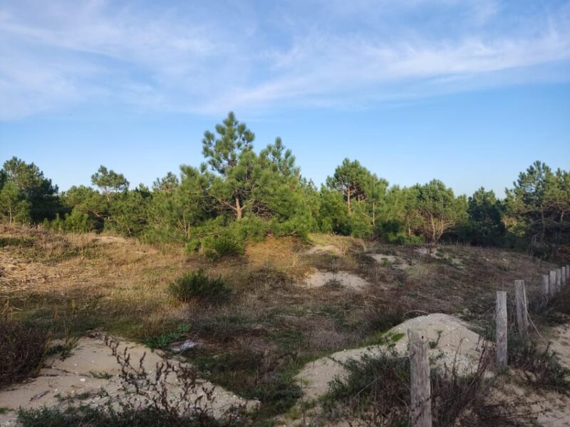 La Tremblade: Hiking in the Forêt Domaniale de la Coubre - FAQ