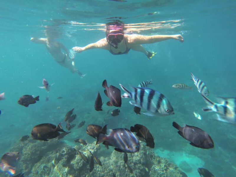 Labuan Amuk Bali: snorkeling tour with traditional boat - FAQs