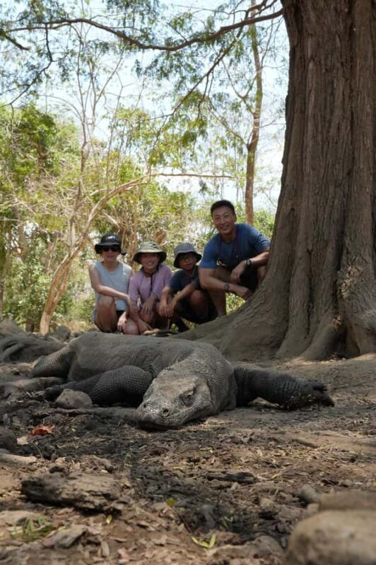 Labuan Bajo: 3-Day Komodo Liveaboard Adventure with VIP Boat - The Sum Up