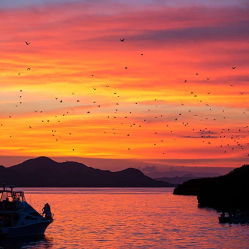 Labuan Bajo Explore 3 Destination (Kelor, Manjarite, Kalong) - A Complete Look at the Tour