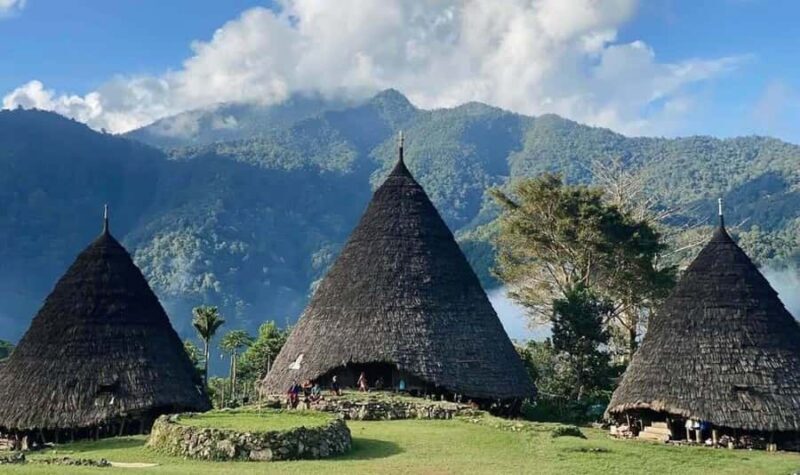 Labuan Bajo: Exploring Wae Rebo Village 2-Day Tour - The Sum Up