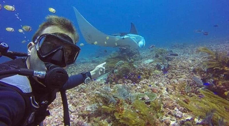 Labuan Bajo First Dive in Komodo Sea - Key Points