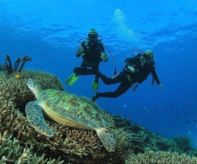 Labuan Bajo First Dive in Komodo Sea - Participant Considerations