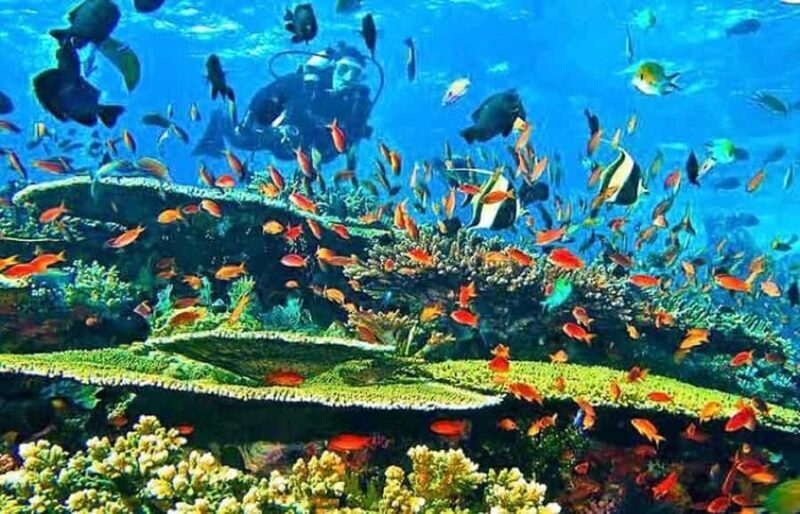 Labuan Bajo First Dive in Komodo Sea - Final Words