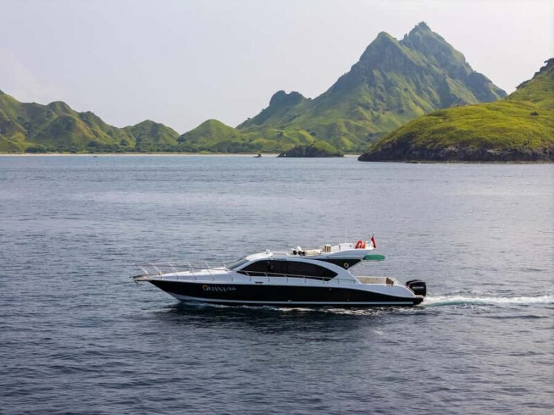 Labuan Bajo: Komodo National Park Full-Day Speedboat Tour - An In-Depth Look at the Experience