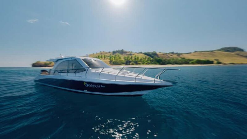 Labuan Bajo: Komodo National Park Full-Day Speedboat Tour - Wrapping It Up