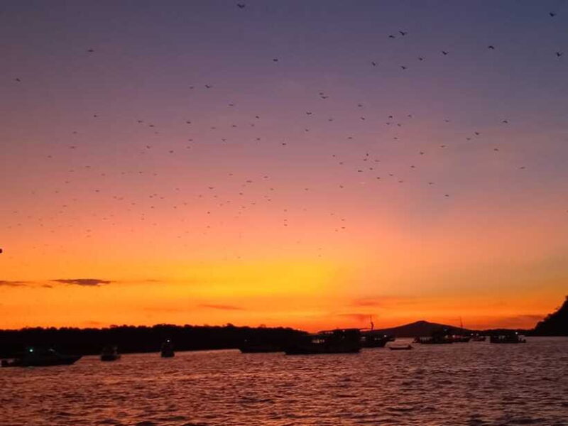 LABUAN BAJO: Komodo Shared Tour With Speed Boat - Final Thoughts: Value and Suitability