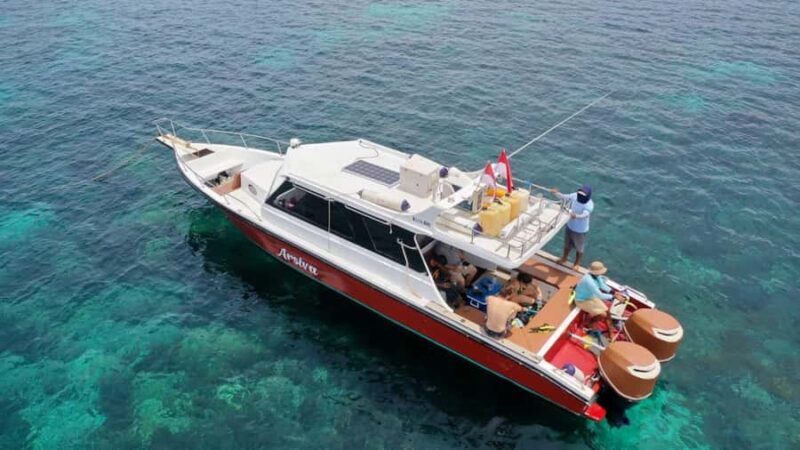 Labuan Bajo: One Day Komodo Tour & Snorkeling - Key Points