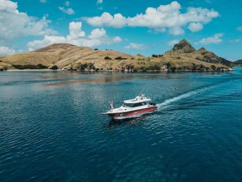Labuan Bajo: One Day Komodo Tour & Snorkeling - Price and Value