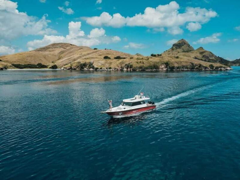 Labuan Bajo: One Day Komodo Tour & Snorkeling - Who Should Book This Tour?