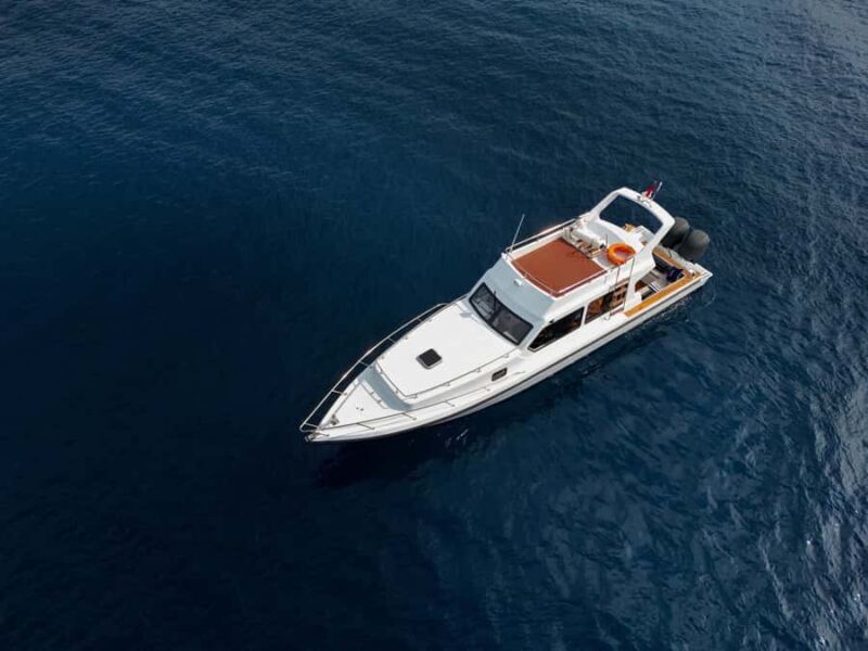 Labuan Bajo: One Day Tour to Explore Komodo National Park - Introduction: Why Consider This Tour?