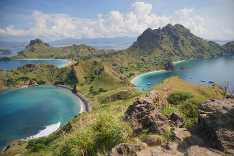 Labuan Bajo: One Day Tour to Explore Komodo National Park - The Sum Up: Who Is This Tour Best For?