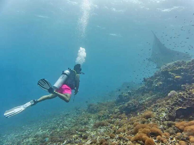 Labuan Bajo: Sunset Panorama, National Park - FAQ