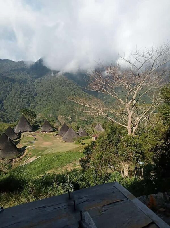 Labuan Bajo: Wae Rebo Village Day Trip with Trekking - The Itinerary in Detail: What to Expect