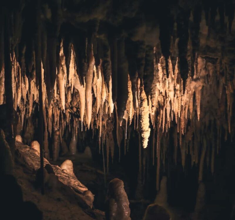 Labuan Bajo:Batu Cermin, Rangko Cave, Sylvia Hill & Waringin - Practical Tips and What to Expect