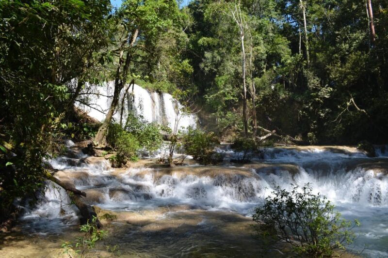 Lacandon Jungle Adventure and Bonampak Archaelogical Site - The Allure of Bonampak: Murals and Meaning
