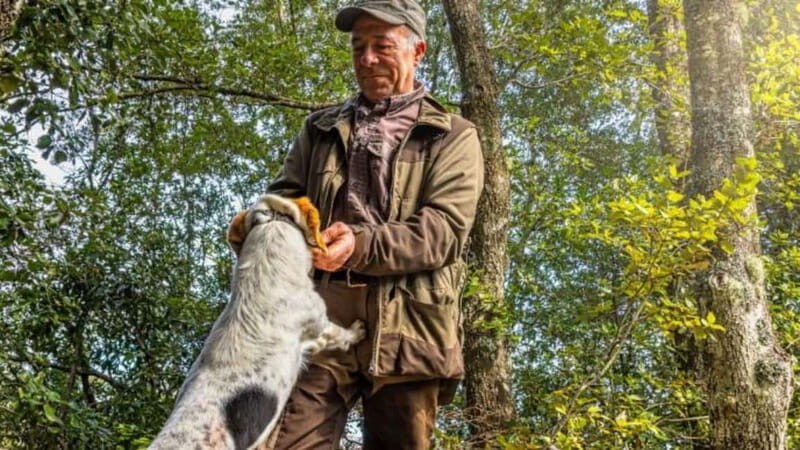Laconi: truffle hunting excursion with lunch - Final thoughts