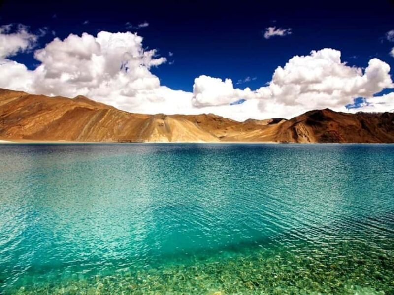 Ladakh: 5-Day Family Tour with Accommodation & Transfers - Why Choose This Ladakh Tour?