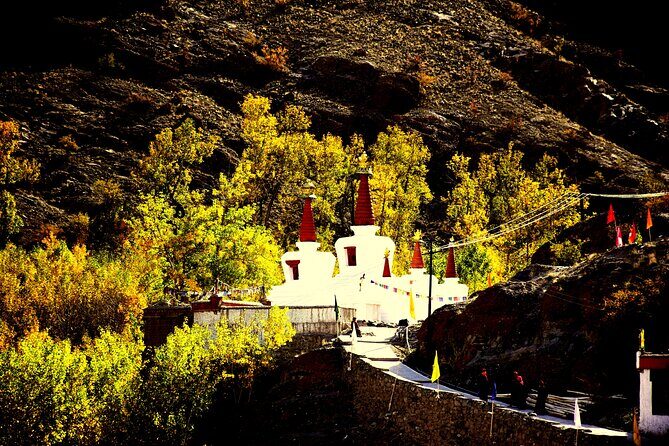 Ladakh Sham Valley Trek - Key Points