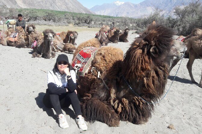 Ladakh Special Tours - Final Recommendation