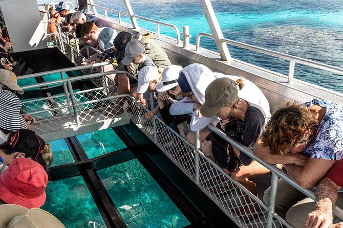 Lady Musgrave Day Trip from Bundaberg Including Snorkeling - Key Points