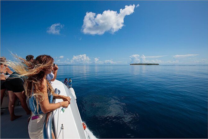 Lady Musgrave Day Trip from Bundaberg Including Snorkeling - Authentic Experiences and Tips