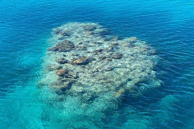 Lady Musgrave Day Trip from Bundaberg Including Snorkeling - FAQ