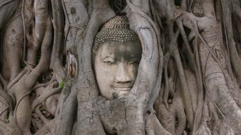 Laem Chabang Port: Bangkok and Ayutthaya 2-Day Guide Tour - Key Points