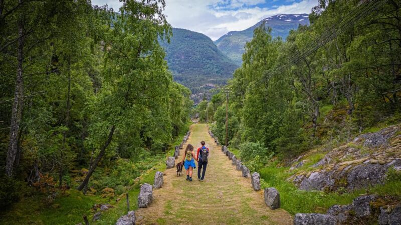 Lærdal: Guided Tour in Borgund Stave Church and Vindhella - Key Points