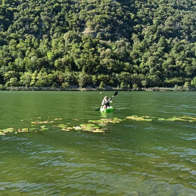 Lago del Segrino: Kayak Tour with Guide (vicino a Como) - The Experience Provider and Customer Feedback
