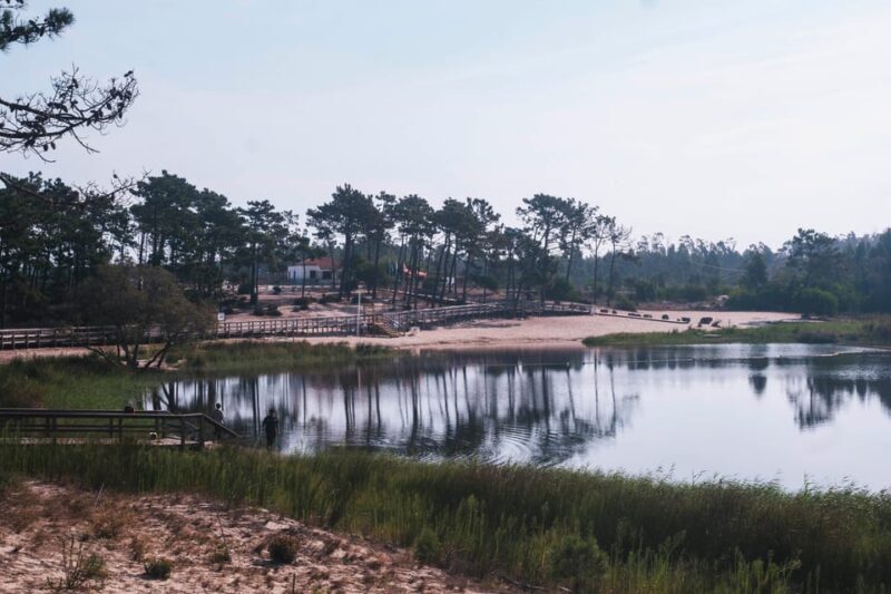Lagoa da Ervedeira E-bike and Stand Up Paddle tour - Who Will Love This Tour?