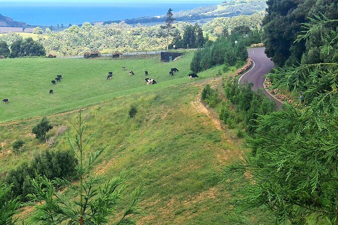 Lagoa do Fogo and Ribeira Grande Half Day Private Tour - Transportation and Flexibility