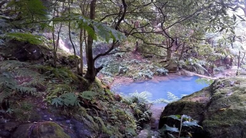 Lagoa do Fogo: Biologist-guided Volcano Geo Tour +Hotsprings - A Deep Dive into the Lagoa do Fogo Volcano Tour