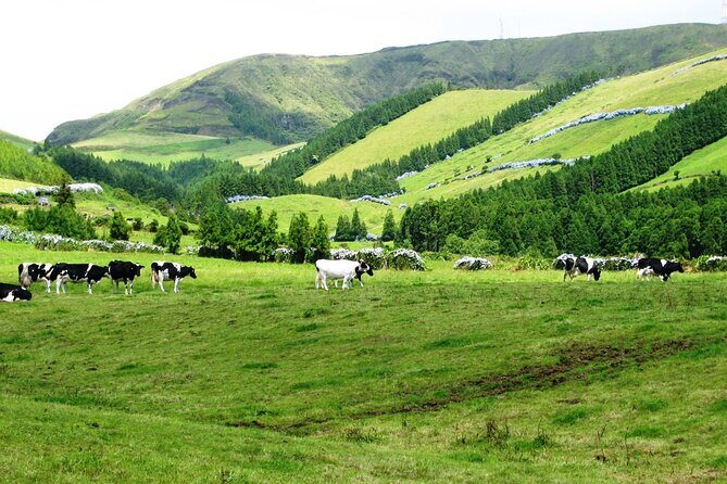 Lagoa do Fogo: Private Scenic Walking Tour - Frequently Asked Questions