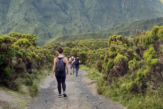 Lagoa do Fogo: Private Scenic Walking Tour - Final Thoughts