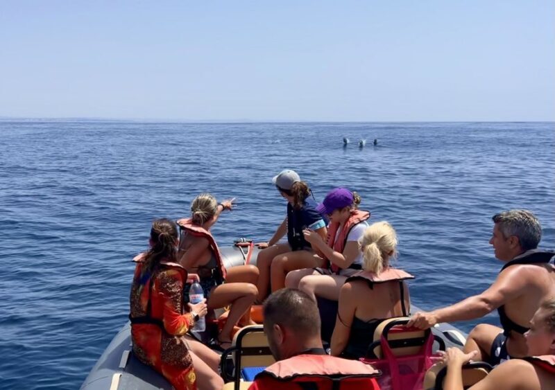 Lagoa: Dolphin Watching & Benagil Tour with Biologist Guide - An In-Depth Guide to the Lagoa Dolphin & Cave Tour